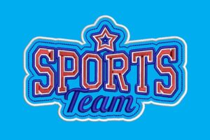 EmbroideryStudio デジタル版のご紹介 - Wilcom Japan Blog